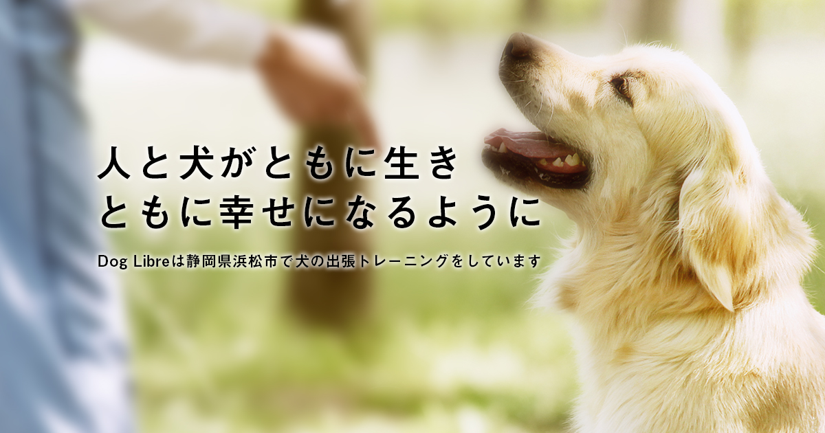 Dog Libre（ドッグリーブル）｜たくさんの犬がトレーニングで成長